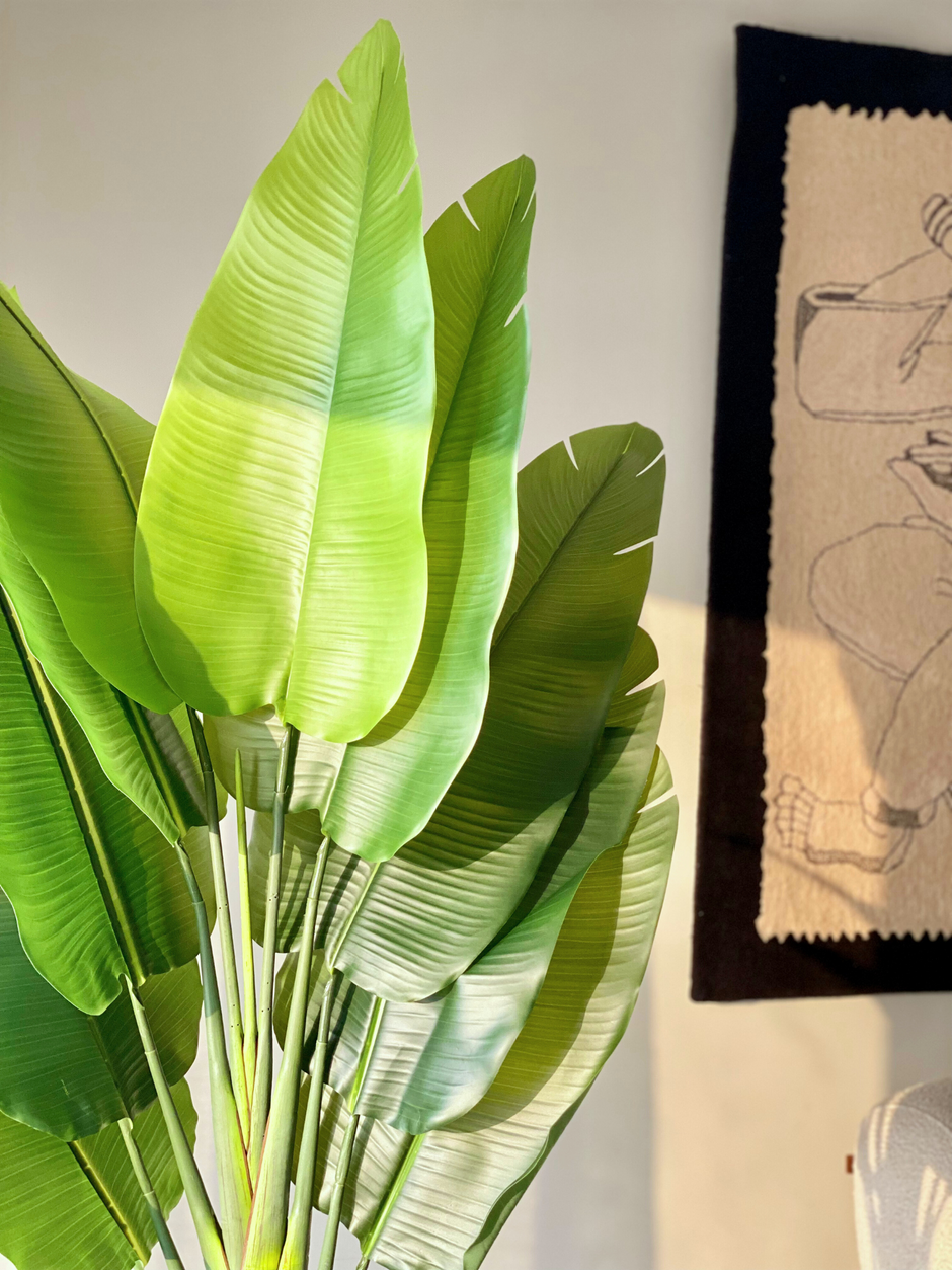 Plants & Planters – Mason Home by Amarsons - Lifestyle & Decor