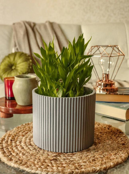 Short Planters – Mason Home