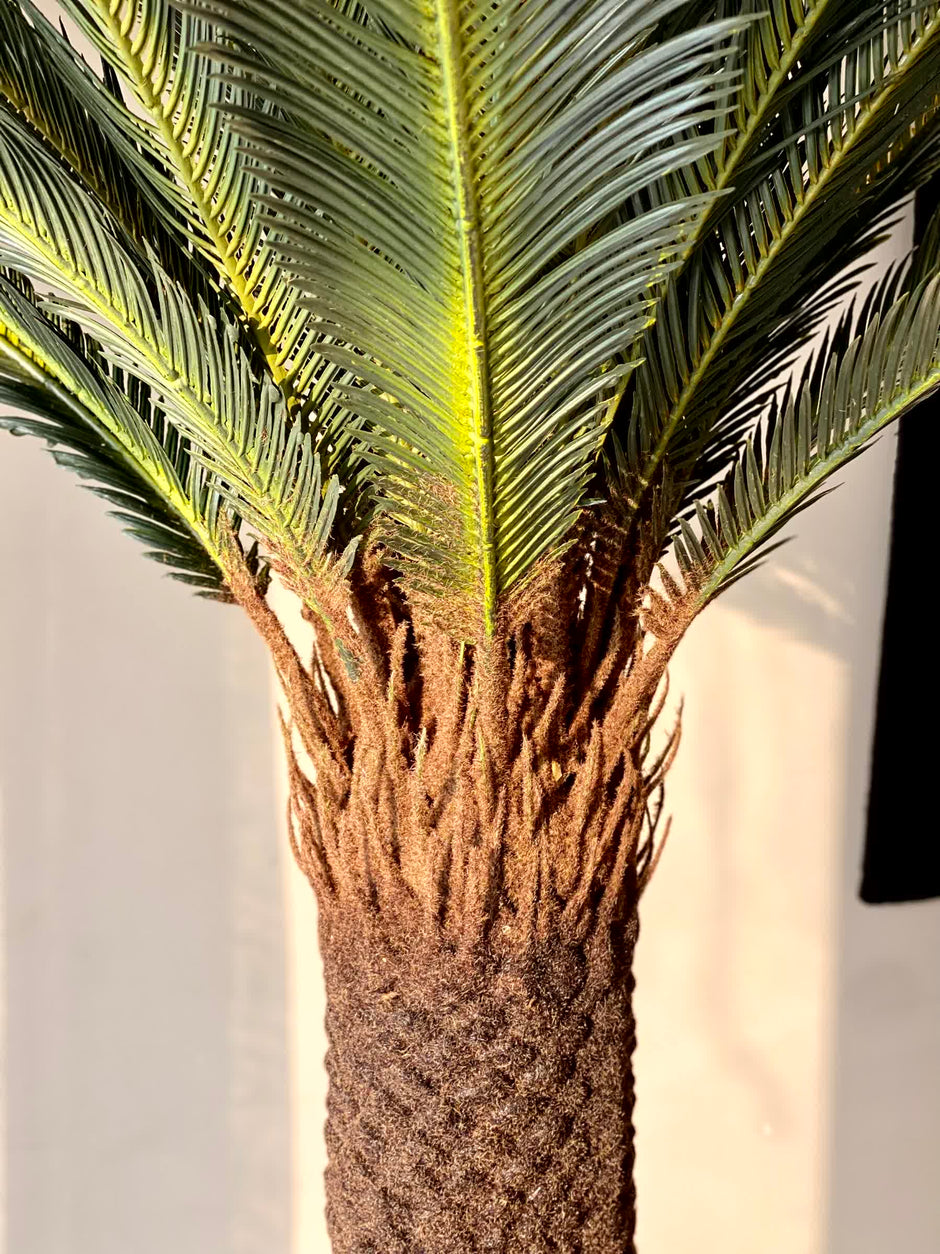 Plants & Planters – Mason Home
