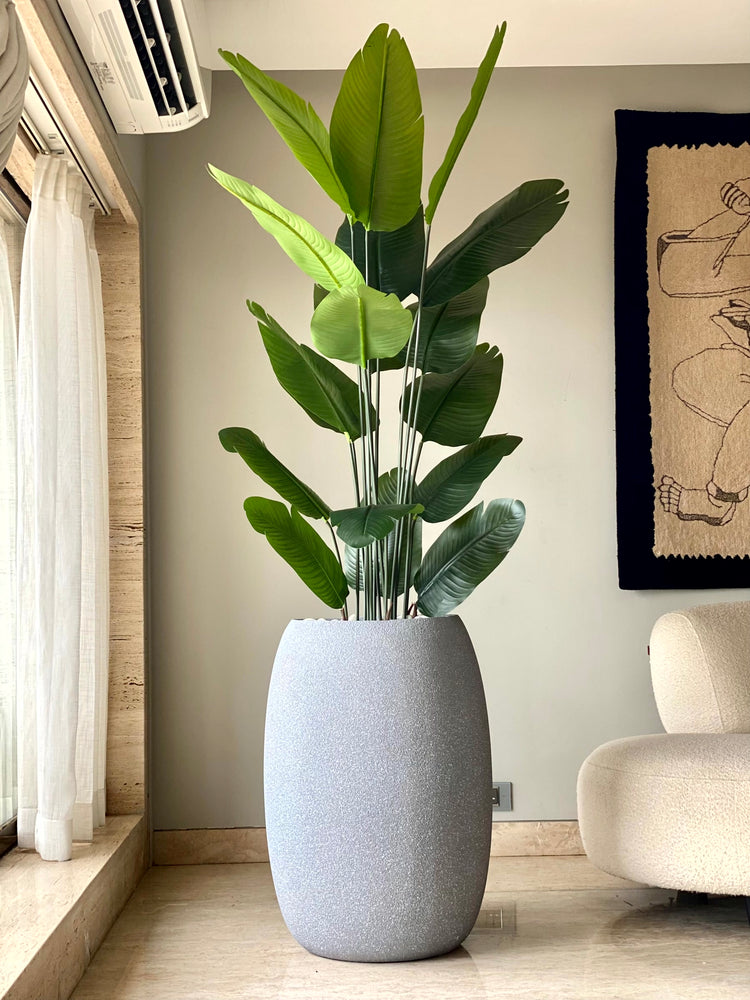 Plants & Planters – Mason Home by Amarsons - Lifestyle & Decor