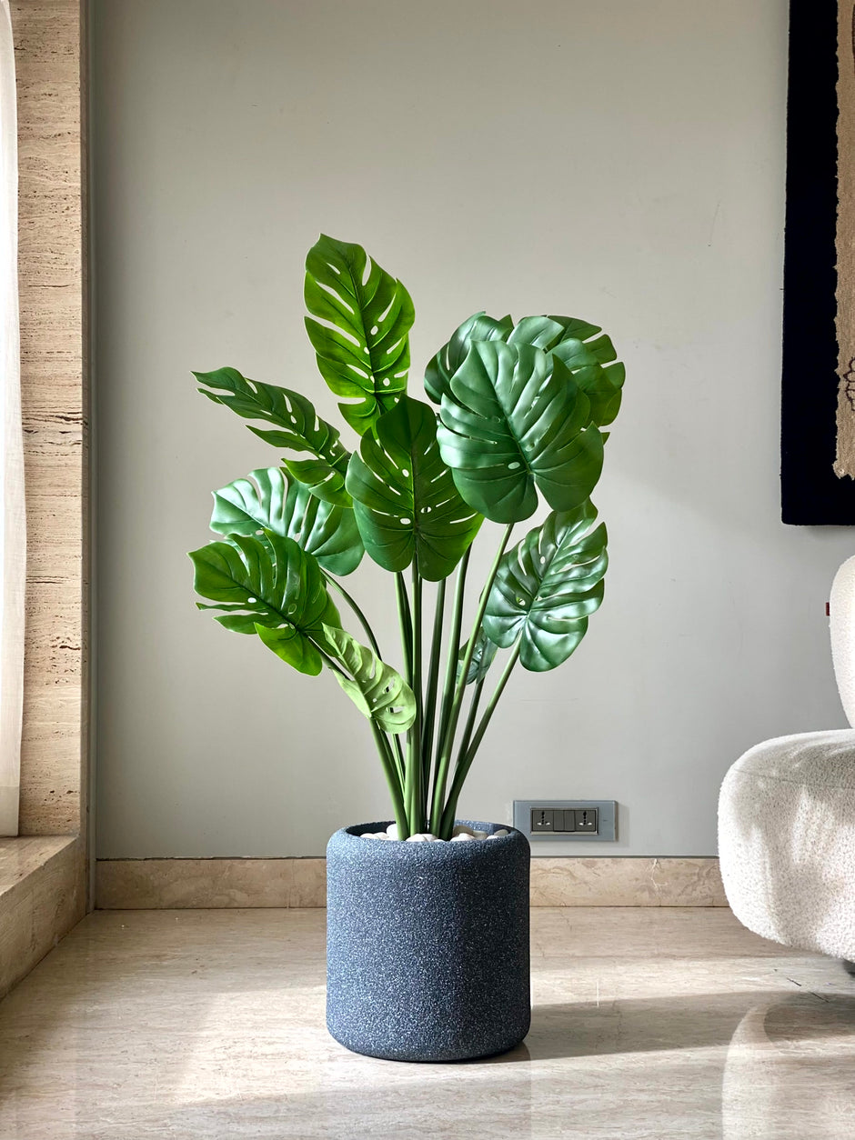 Plants & Planters – Mason Home by Amarsons - Lifestyle & Decor