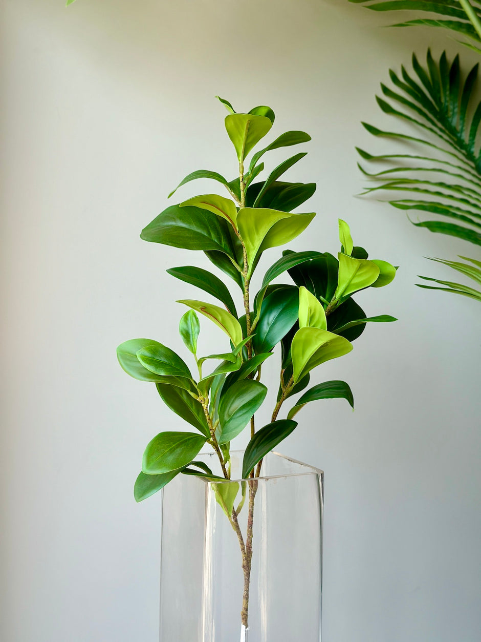 Artificial Short Plants – Mason Home by Amarsons - Lifestyle & Decor