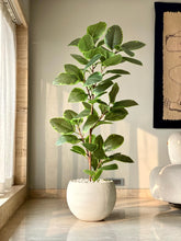 Artificial Leafy Rubber Plant - 5.5 Feet – Mason Home