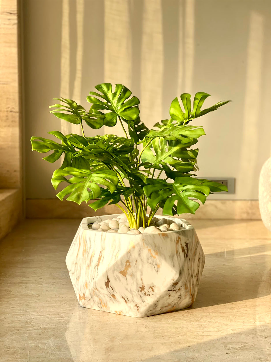 Short Planters – Mason Home by Amarsons - Lifestyle & Decor