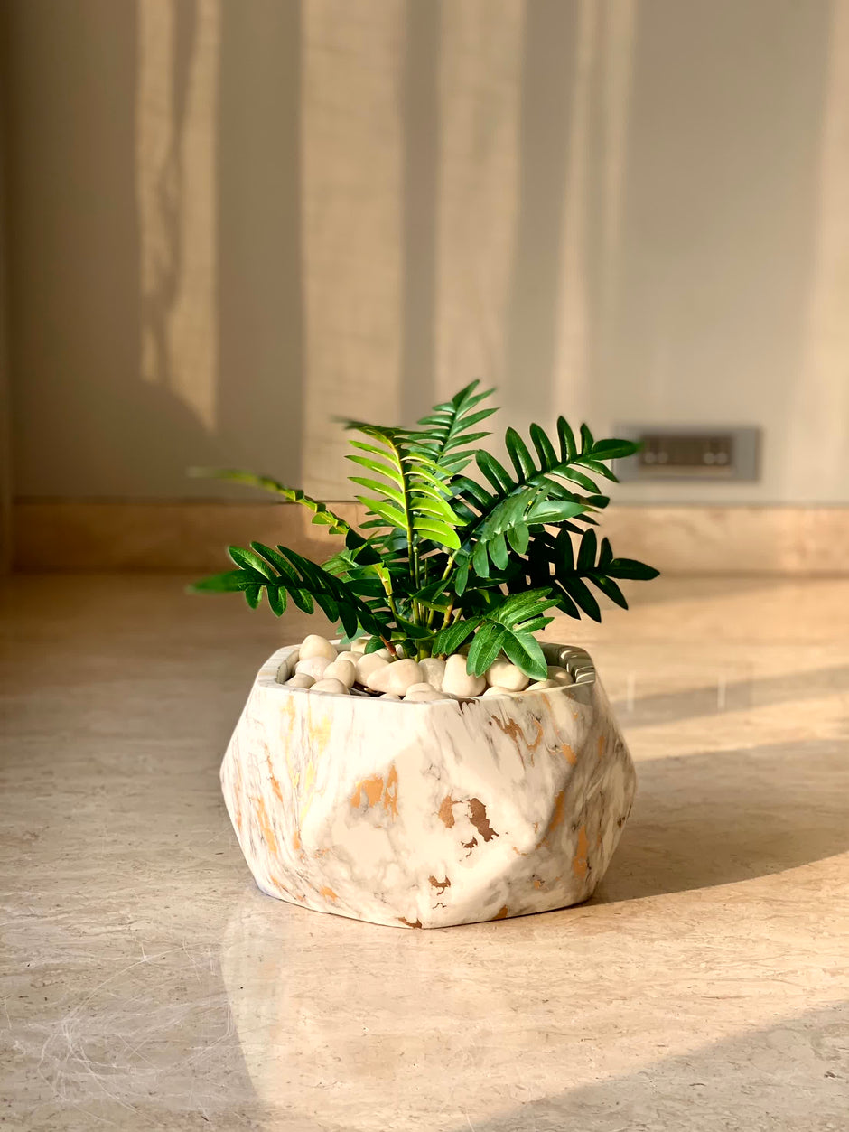 Short Planters – Mason Home by Amarsons - Lifestyle & Decor