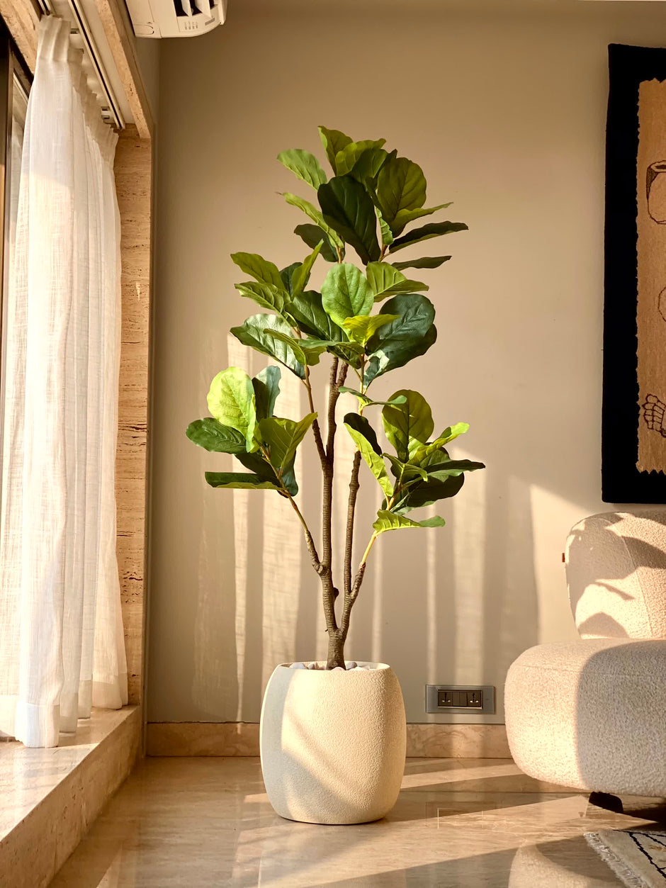 Plants & Planters – Mason Home by Amarsons - Lifestyle & Decor