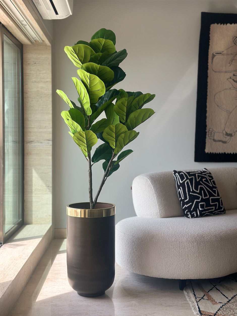 Plants & Planters – Mason Home by Amarsons - Lifestyle & Decor