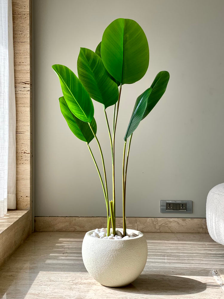 Plants & Planters – Mason Home by Amarsons - Lifestyle & Decor