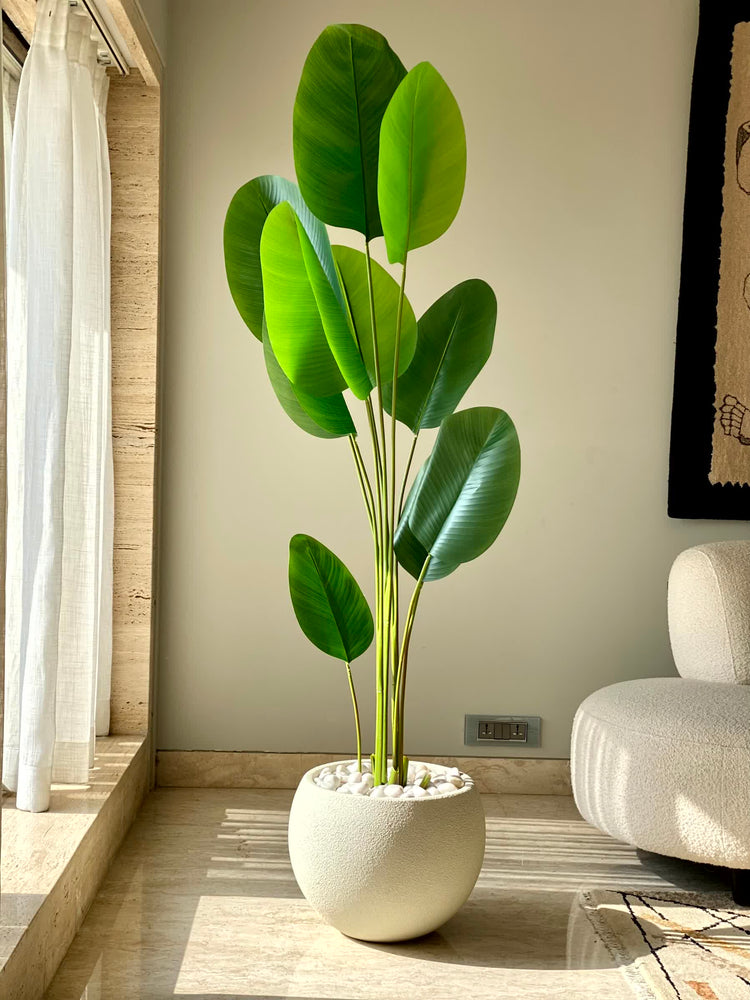 Short Planters – Mason Home by Amarsons - Lifestyle & Decor