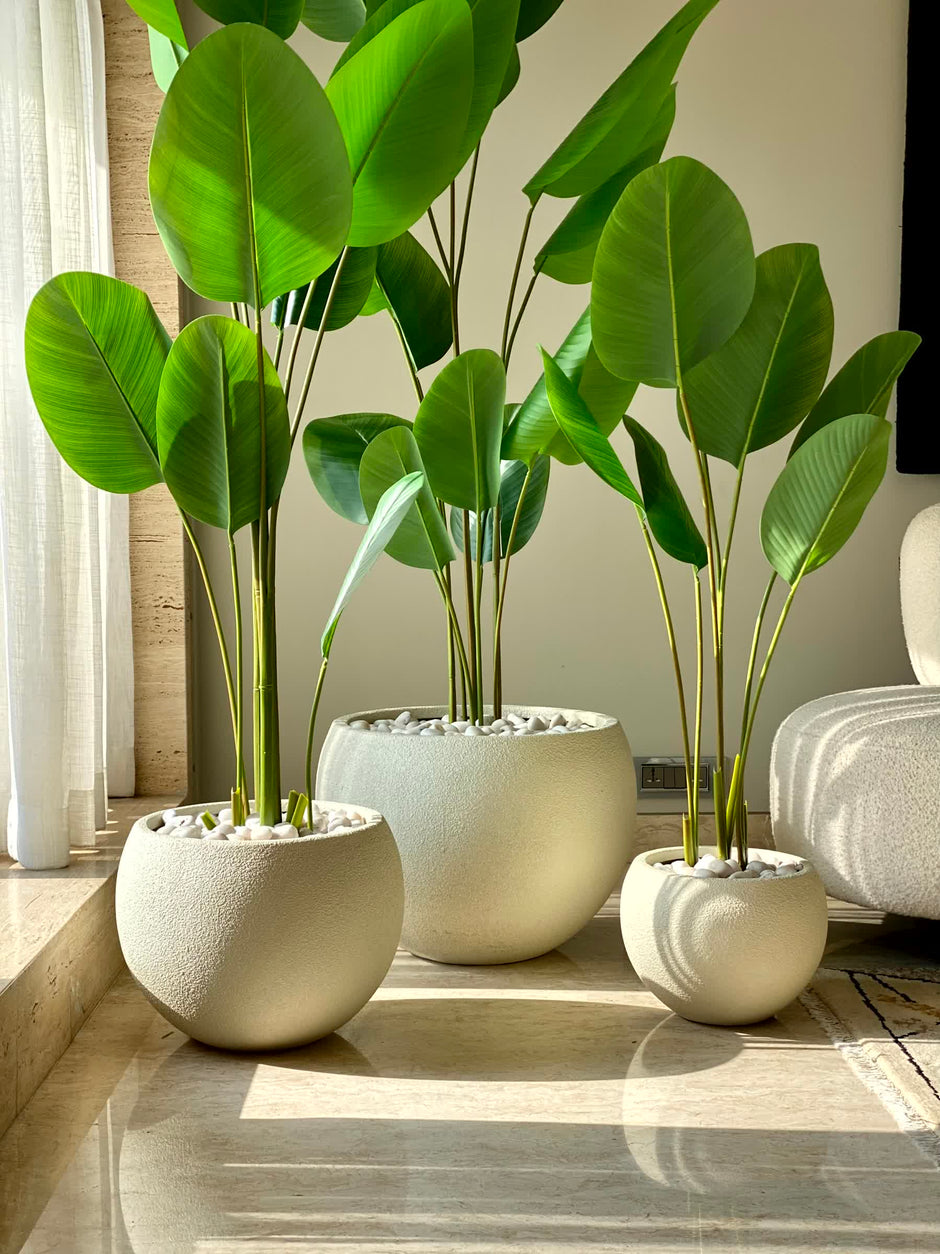 Short Planters – Mason Home by Amarsons - Lifestyle & Decor