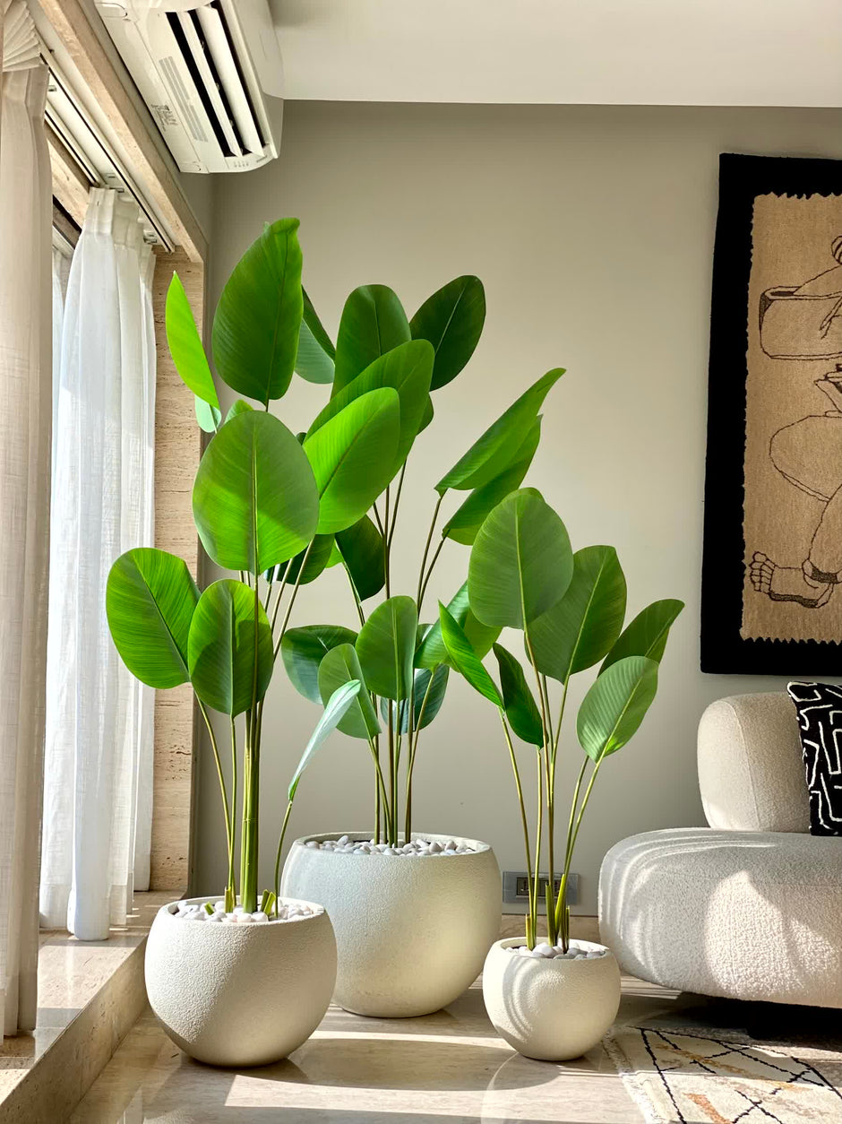 Short Planters – Mason Home by Amarsons - Lifestyle & Decor