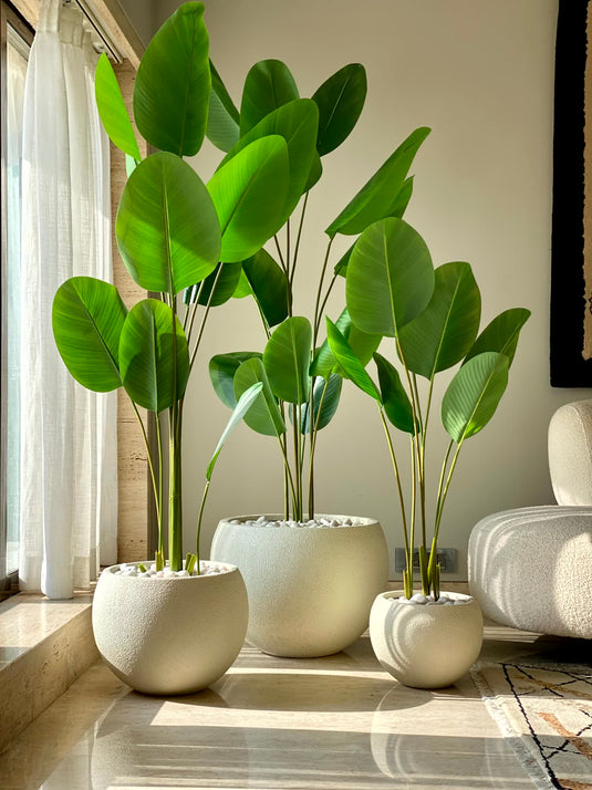 Short Planters – Mason Home by Amarsons - Lifestyle & Decor