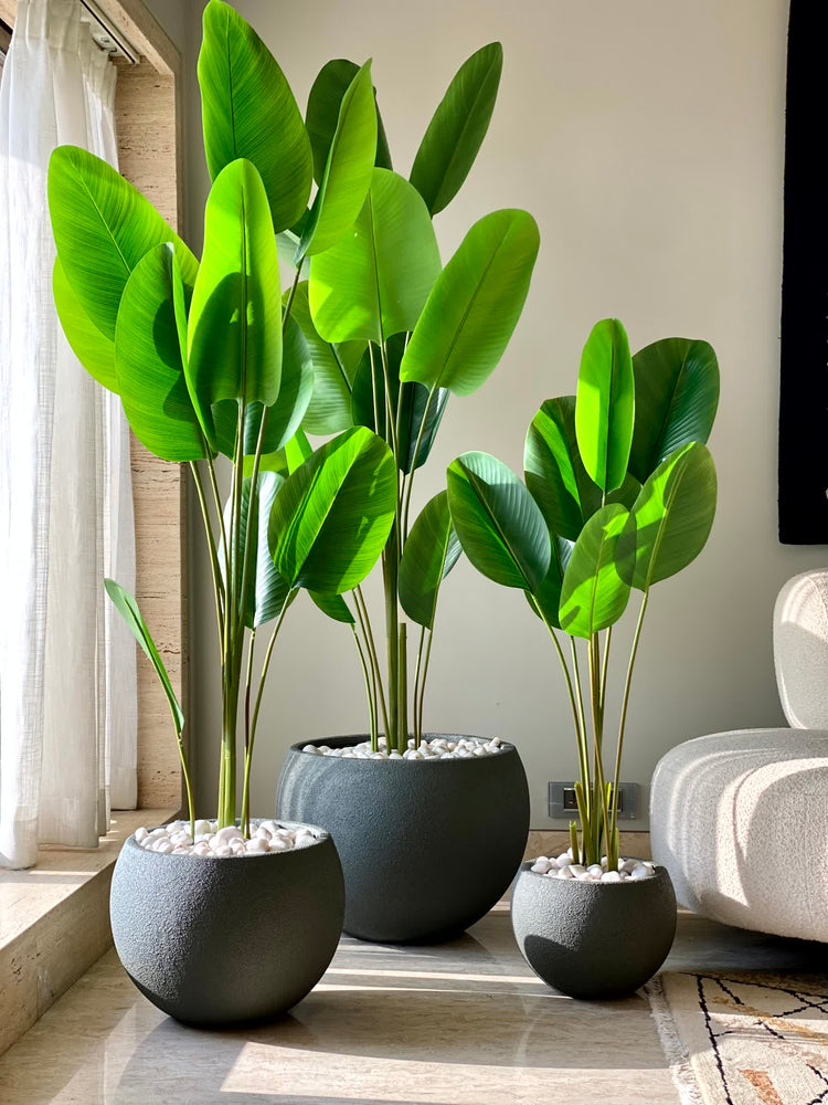 Short Planters – Mason Home by Amarsons - Lifestyle & Decor