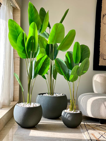 Short Planters – Mason Home by Amarsons - Lifestyle & Decor