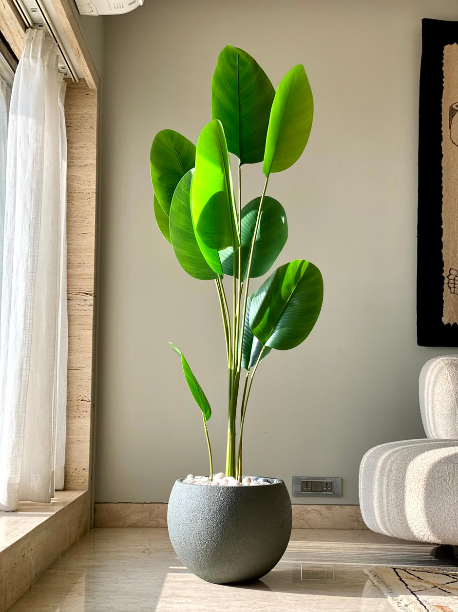 Short Planters – Mason Home by Amarsons - Lifestyle & Decor