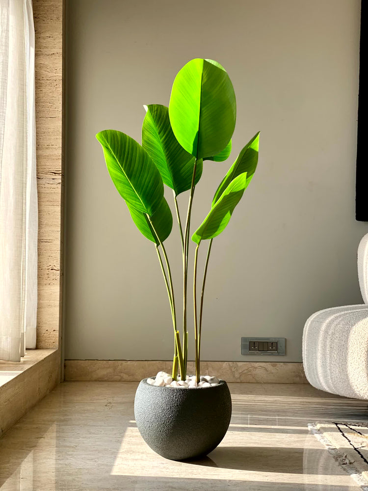 Plants & Planters – Mason Home by Amarsons - Lifestyle & Decor