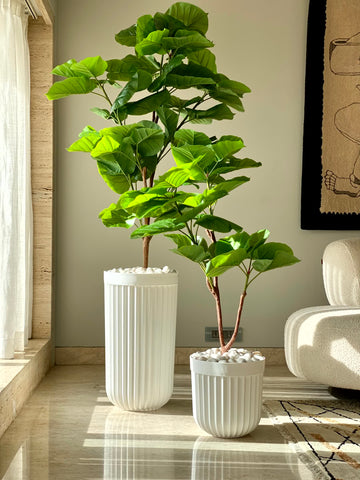 Short Planters – Mason Home by Amarsons - Lifestyle & Decor