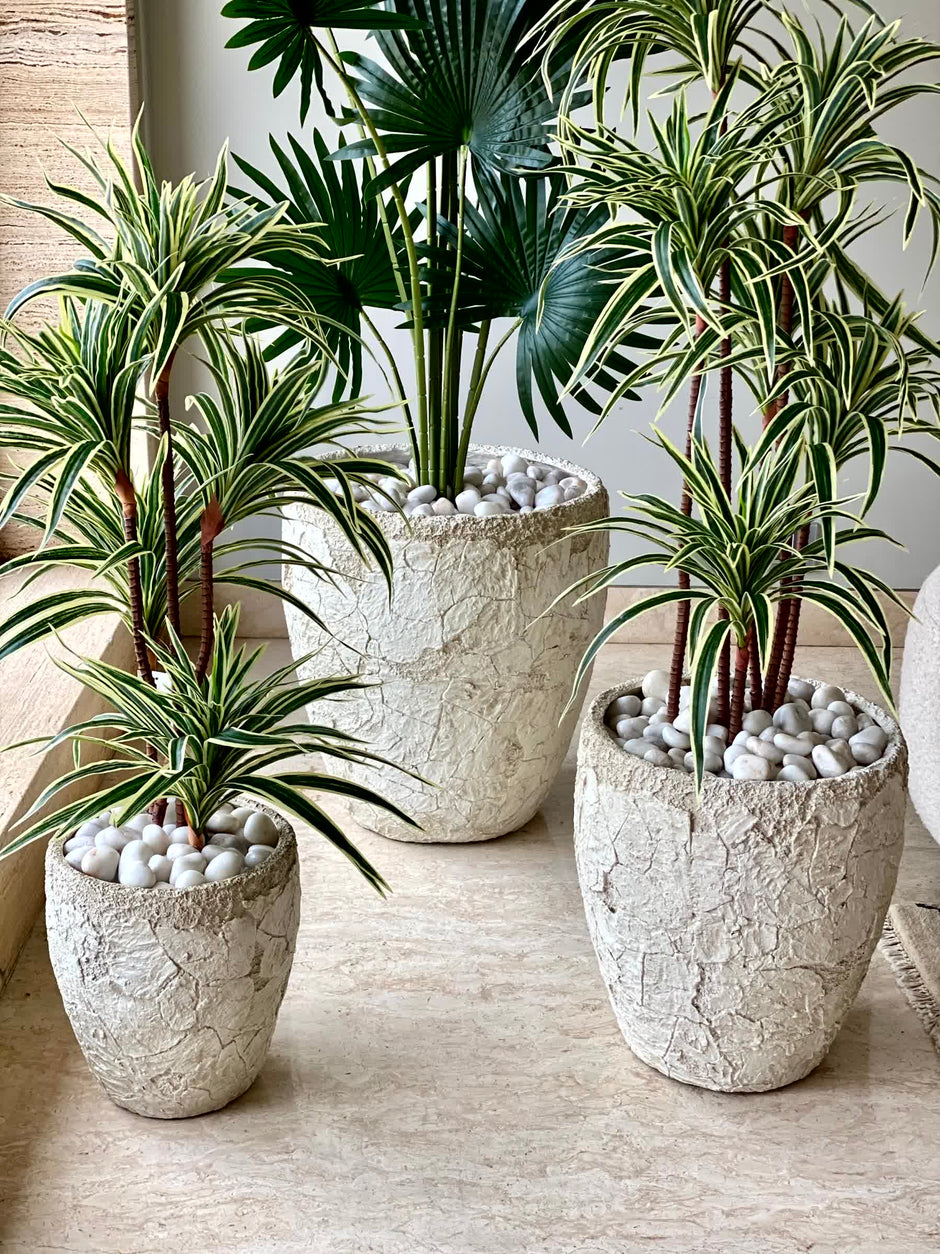 Plants & Planters – Mason Home by Amarsons - Lifestyle & Decor