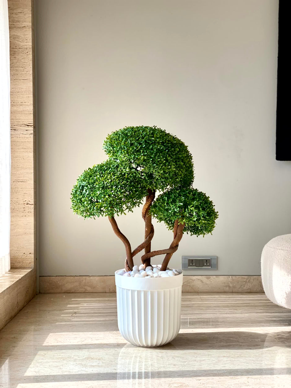 Plants & Planters – Mason Home by Amarsons - Lifestyle & Decor