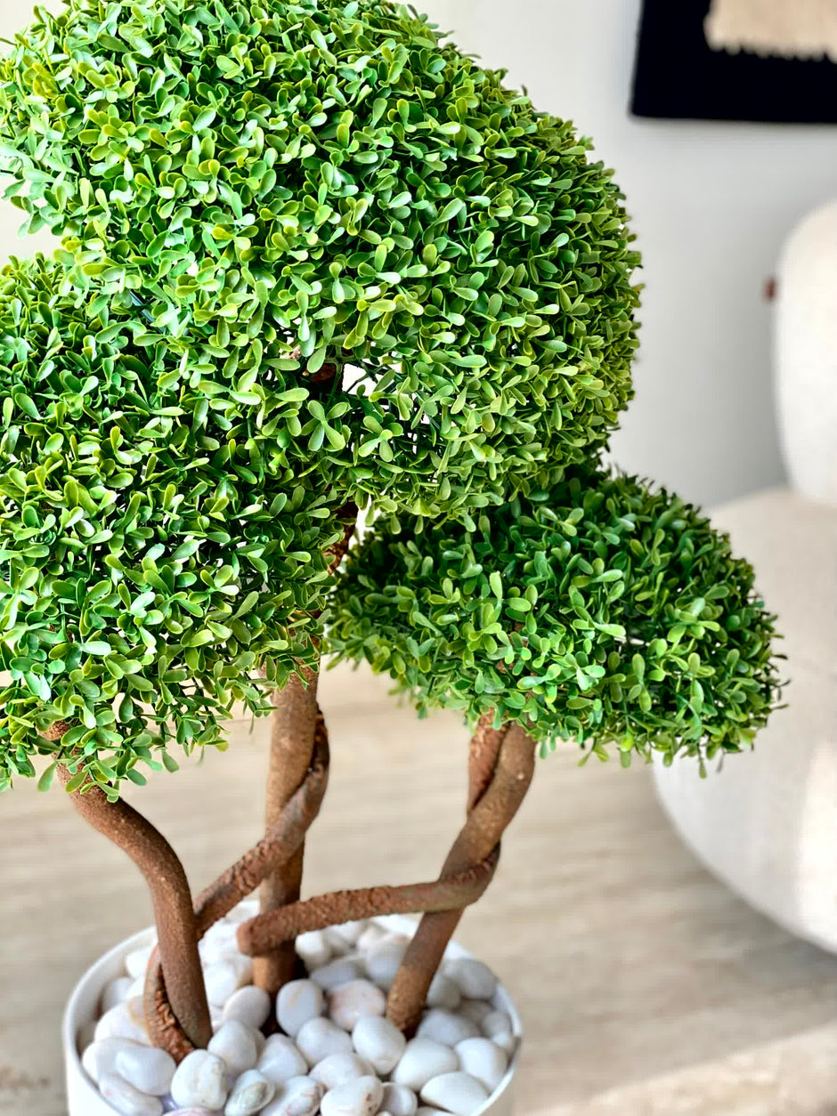 Plants & Planters – Mason Home by Amarsons - Lifestyle & Decor