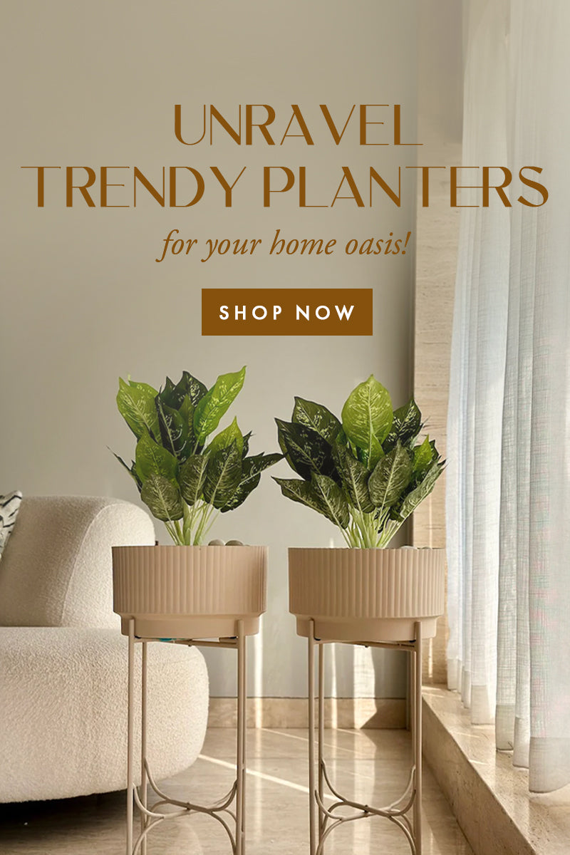 Mason Home by Amarsons - Lifestyle & Decor