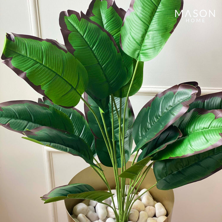 Artificial Short Plants – Mason Home by Amarsons - Lifestyle & Decor