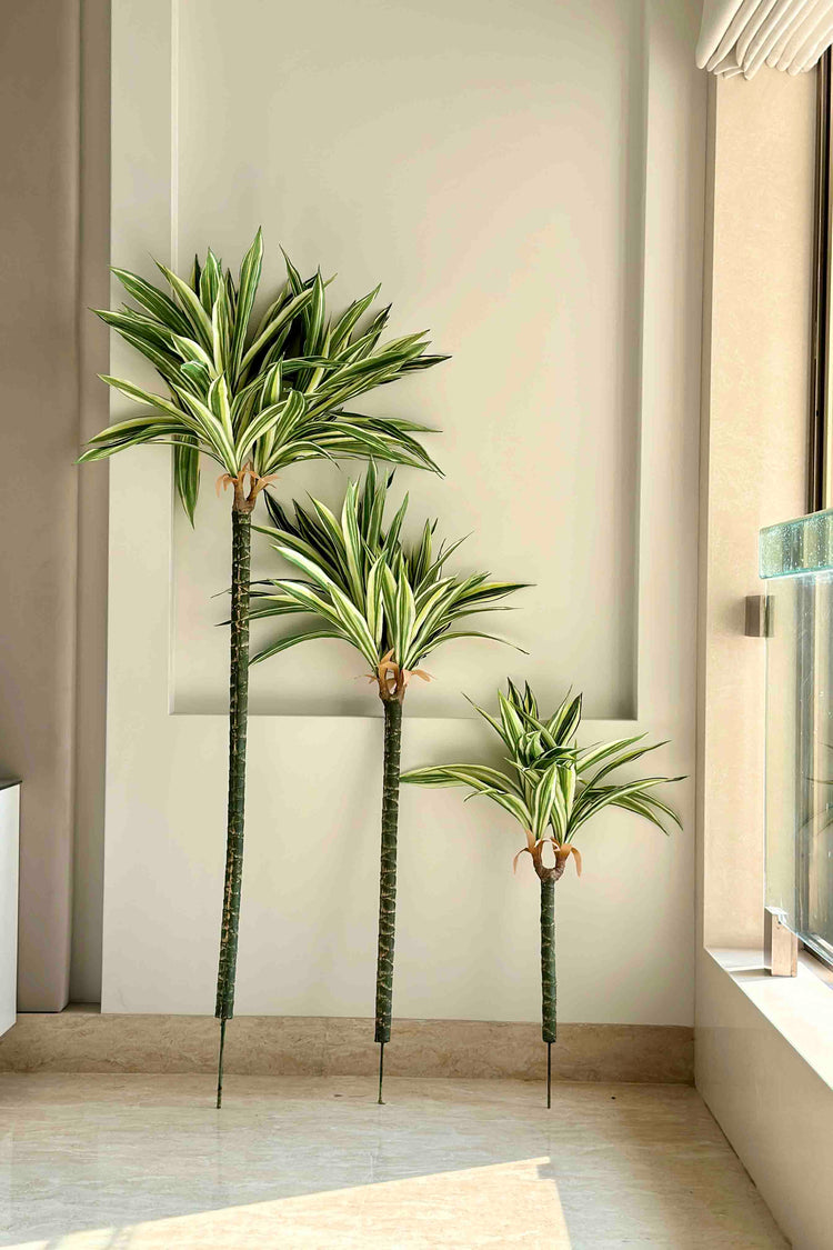 3-4 Feet – Mason Home by Amarsons - Lifestyle & Decor